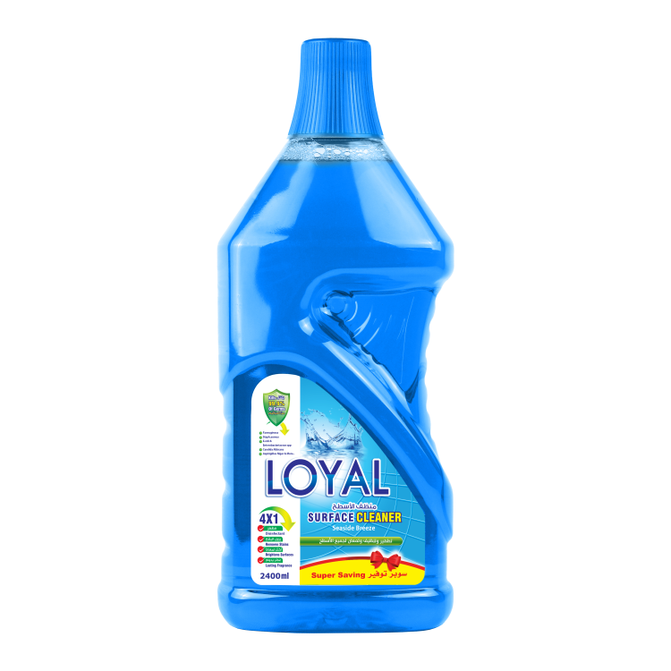 Loyal Surface Cleaner 800ml X 12 Seaside Breeze – 2kShopping